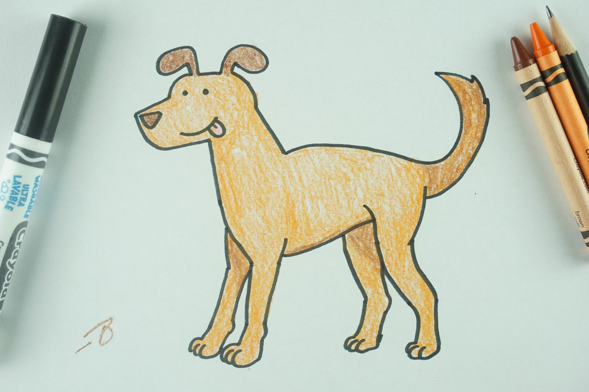 ️ How to Draw: A Dog