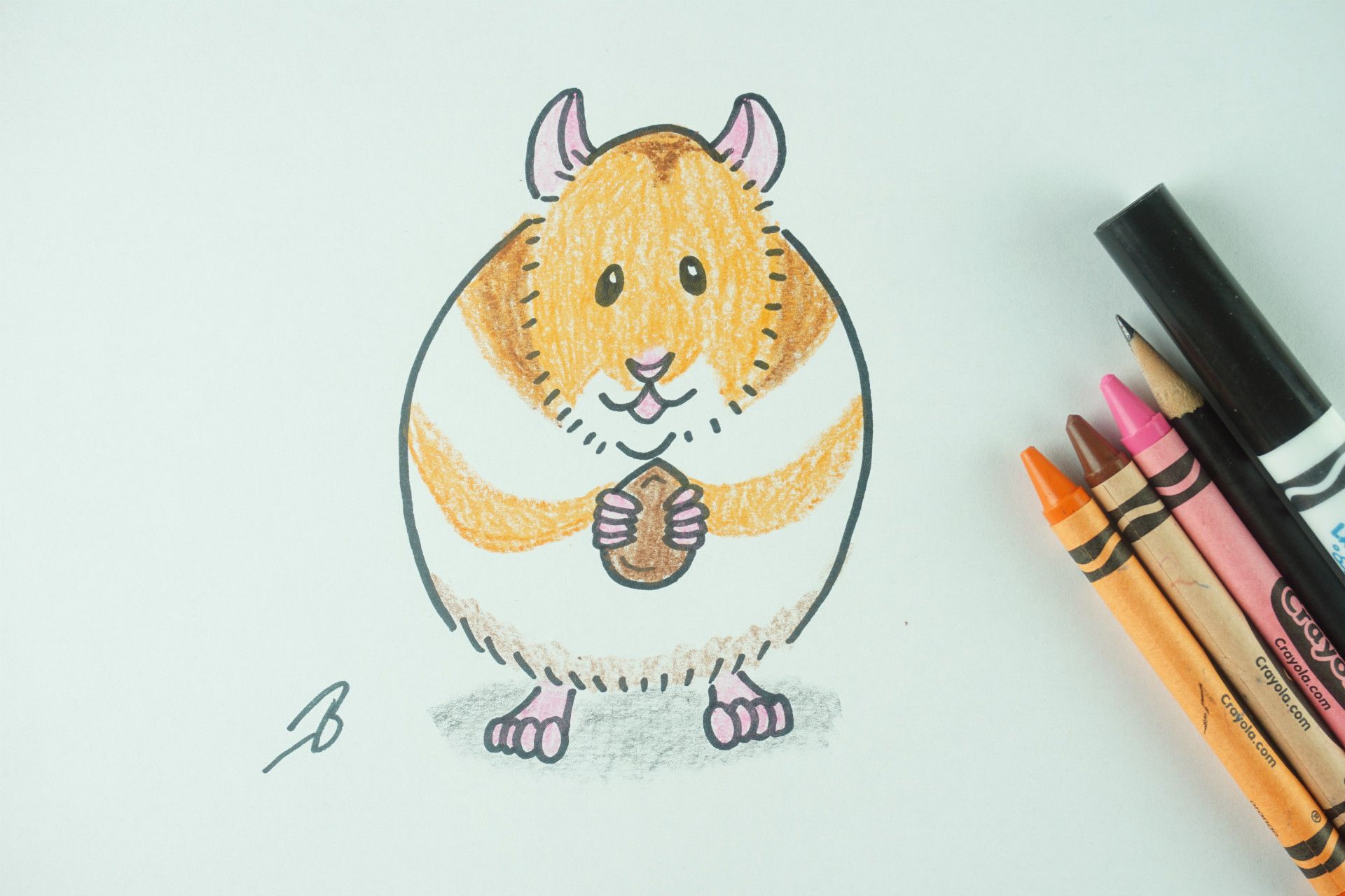 ️ How to Draw: A Hamster