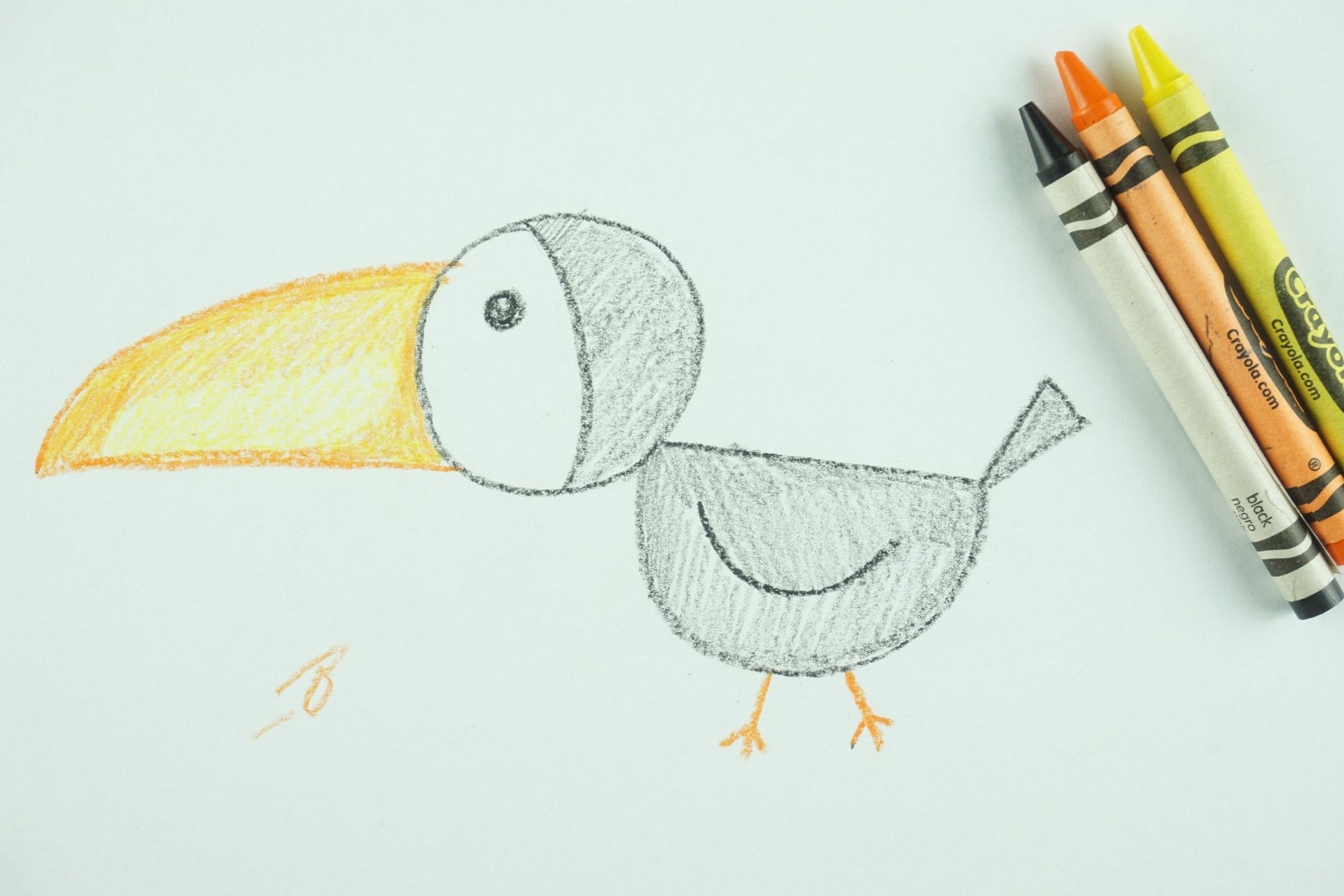 🖍️ How to Draw: A Toucan